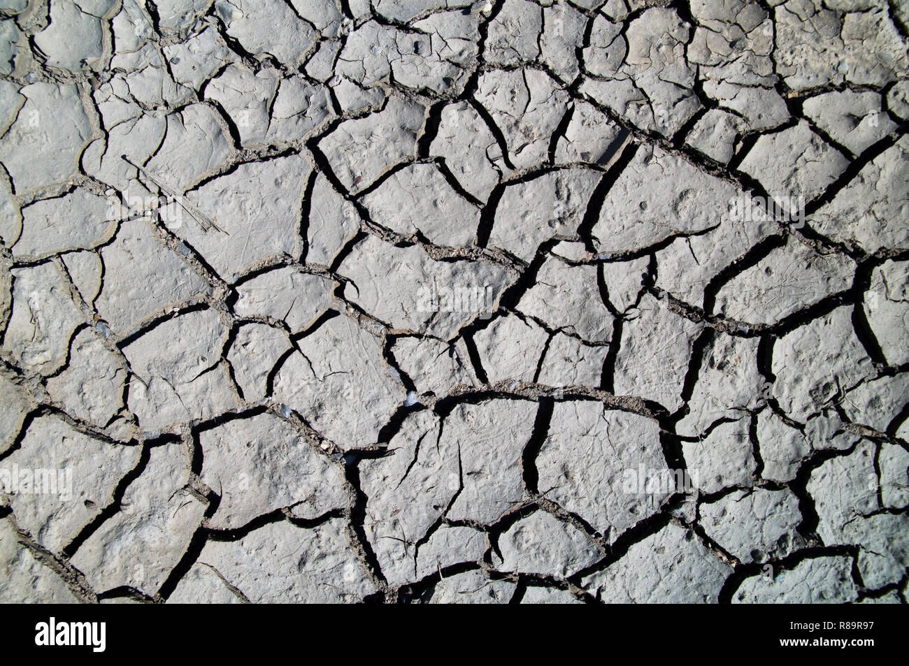 PATCH OF LAND OF DRY GROUND SHOT FROM ABOVE Stock Photo - Alamy