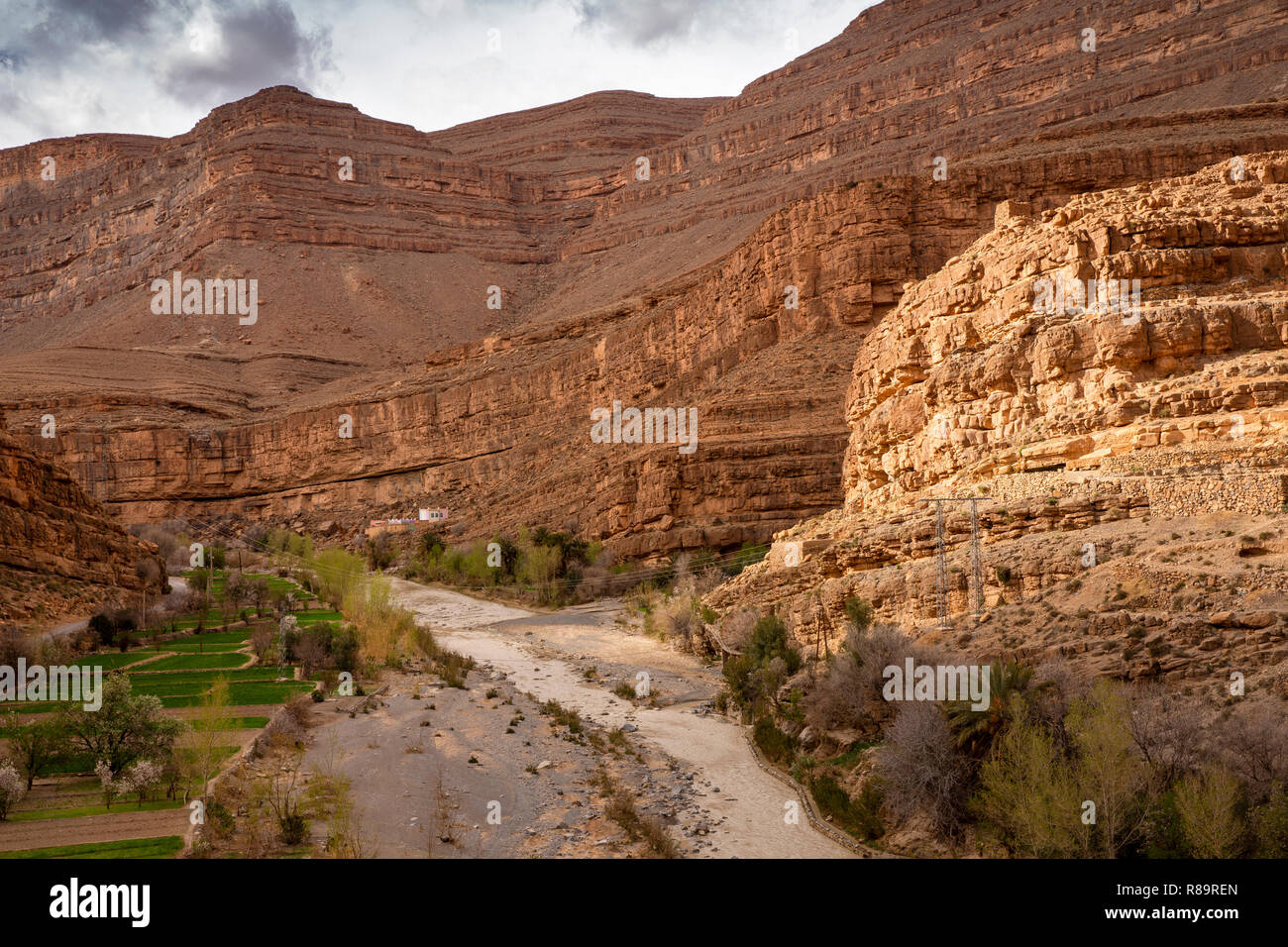 Morocco, Todra Gorge, Tinghir, Timadal, green irrigated agricultural ...