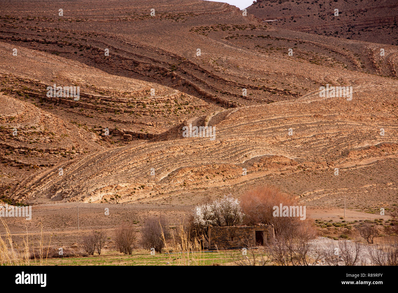 Morocco, Todra Gorge, Tinghir, geology, eroded rock strata Stock Photo ...
