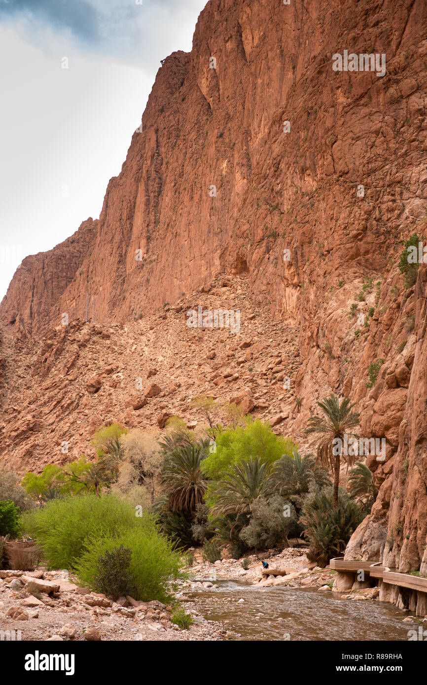Morocco, Todra Gorge, Todra River below steep cliffs Stock Photo - Alamy