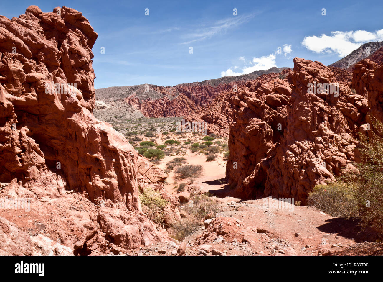 The andes mountains in argentina