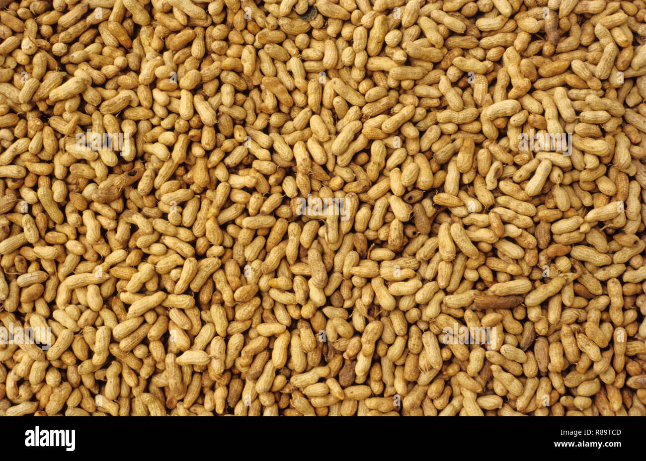 Indian groundnuts hi-res stock photography and images - Alamy