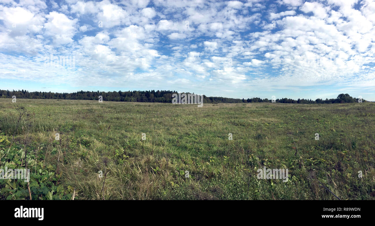 Panoramic countryside landscape with field and forest at far under ...
