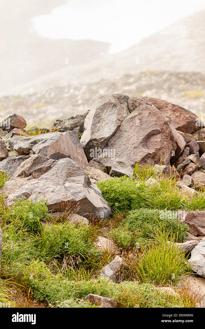 large boulders and stones in volcanic soil Stock Photo - Alamy