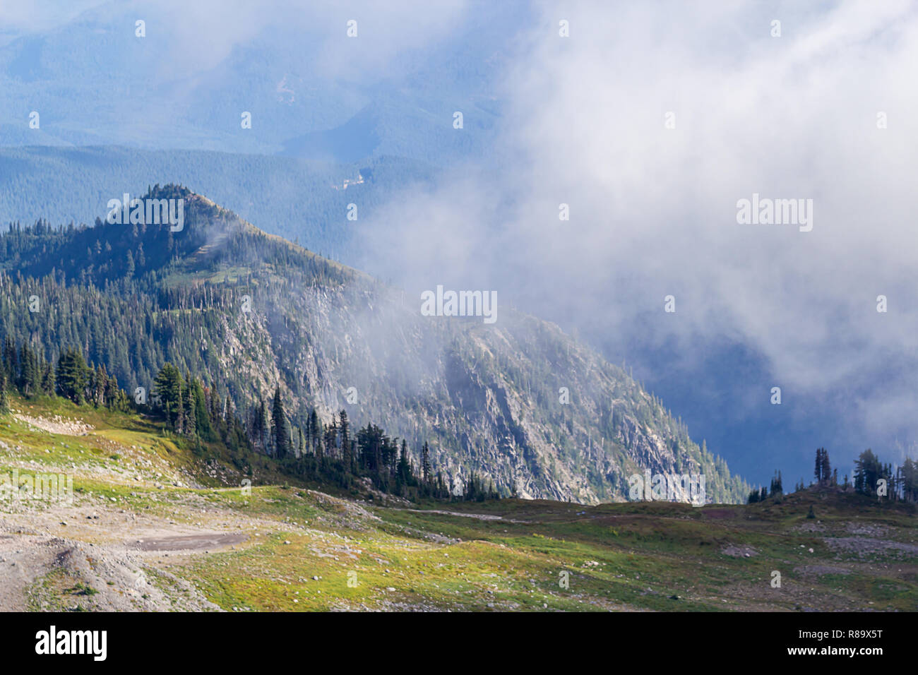 clouds and fog float over lush forest and rocky overlook Stock Photo ...