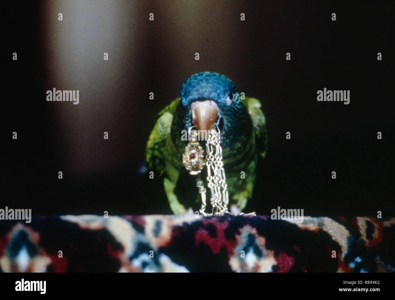 Paulie paulie 1998 hi-res stock photography and images - Alamy