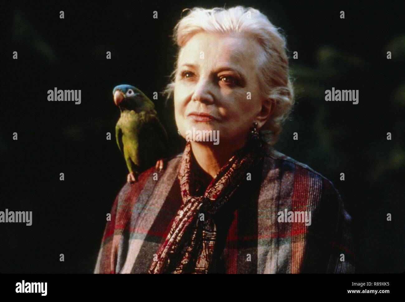 Paulie parrot hi-res stock photography and images - Alamy