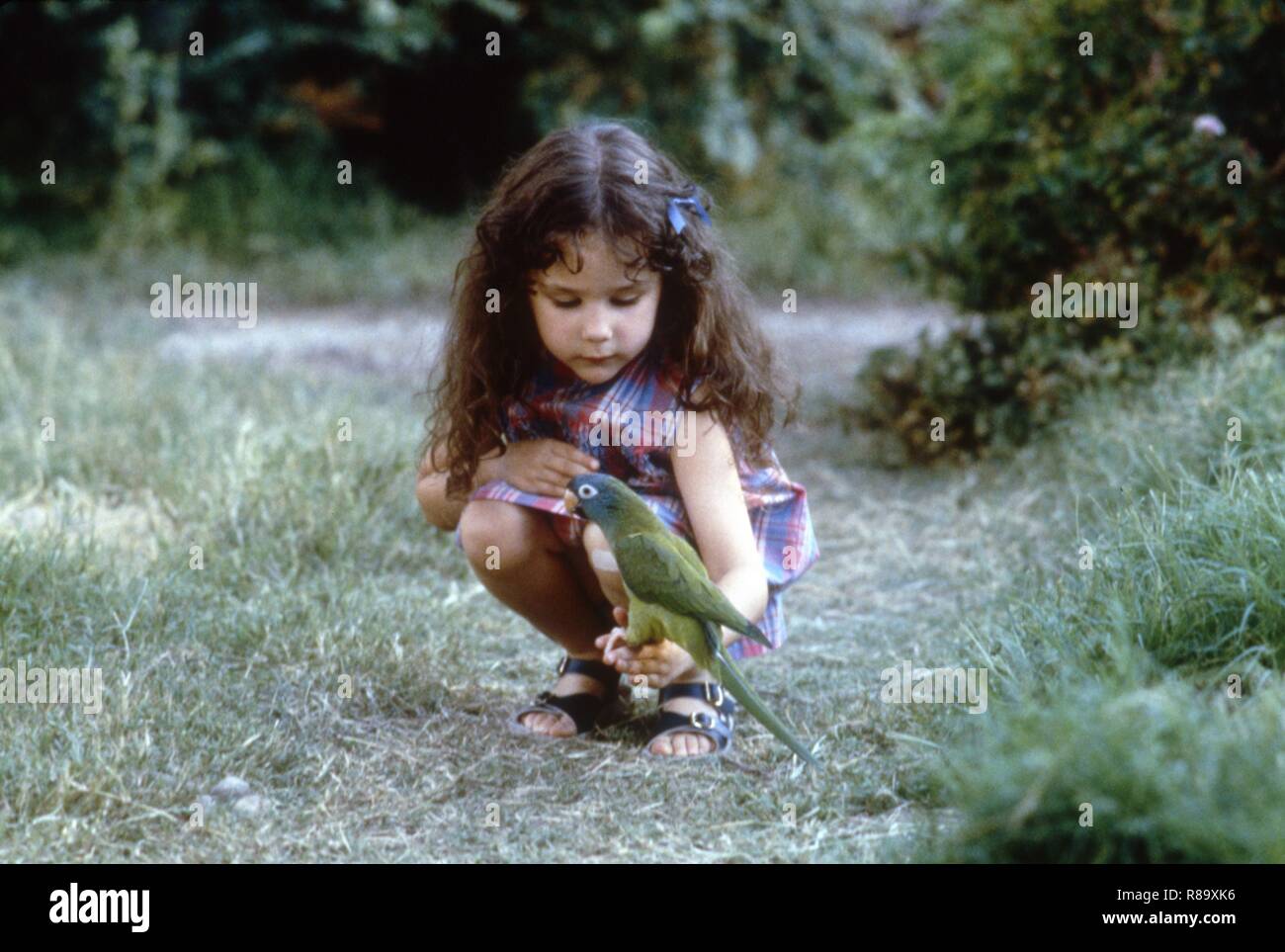 Hallie Kate Eisenberg Movies