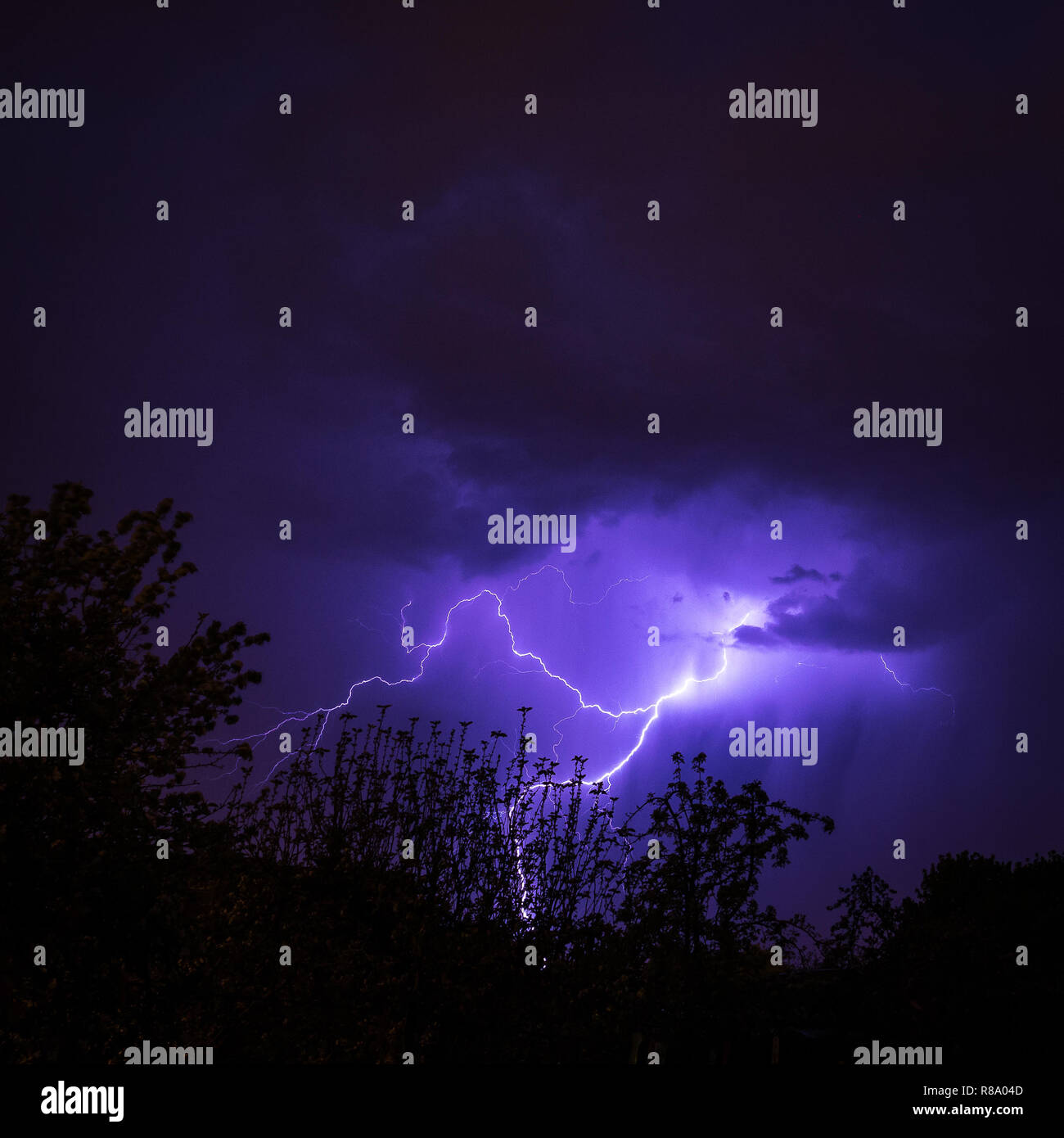 Fantastic force hi-res stock photography and images - Alamy