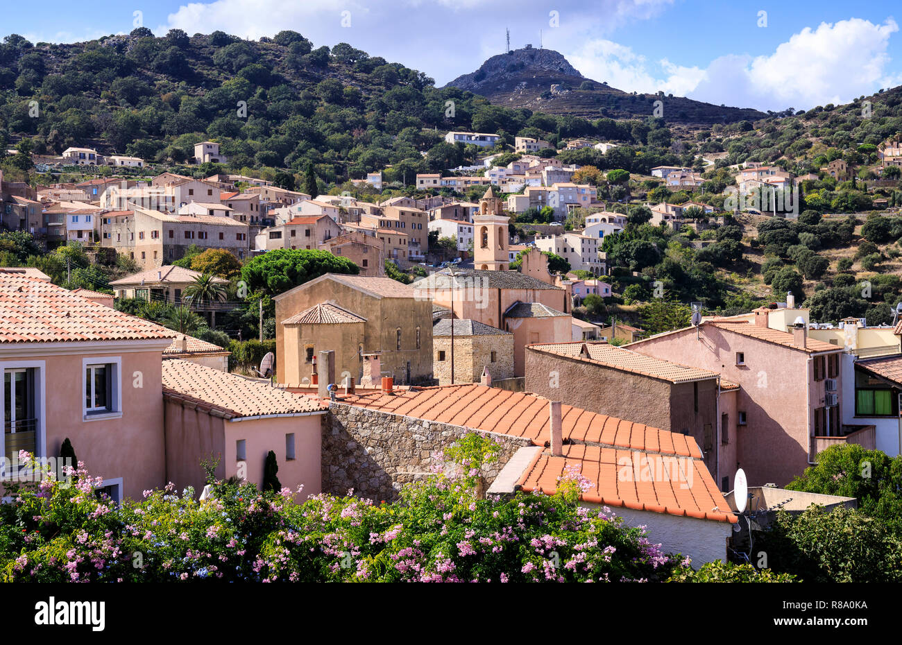 Reparata hi-res stock photography and images - Alamy