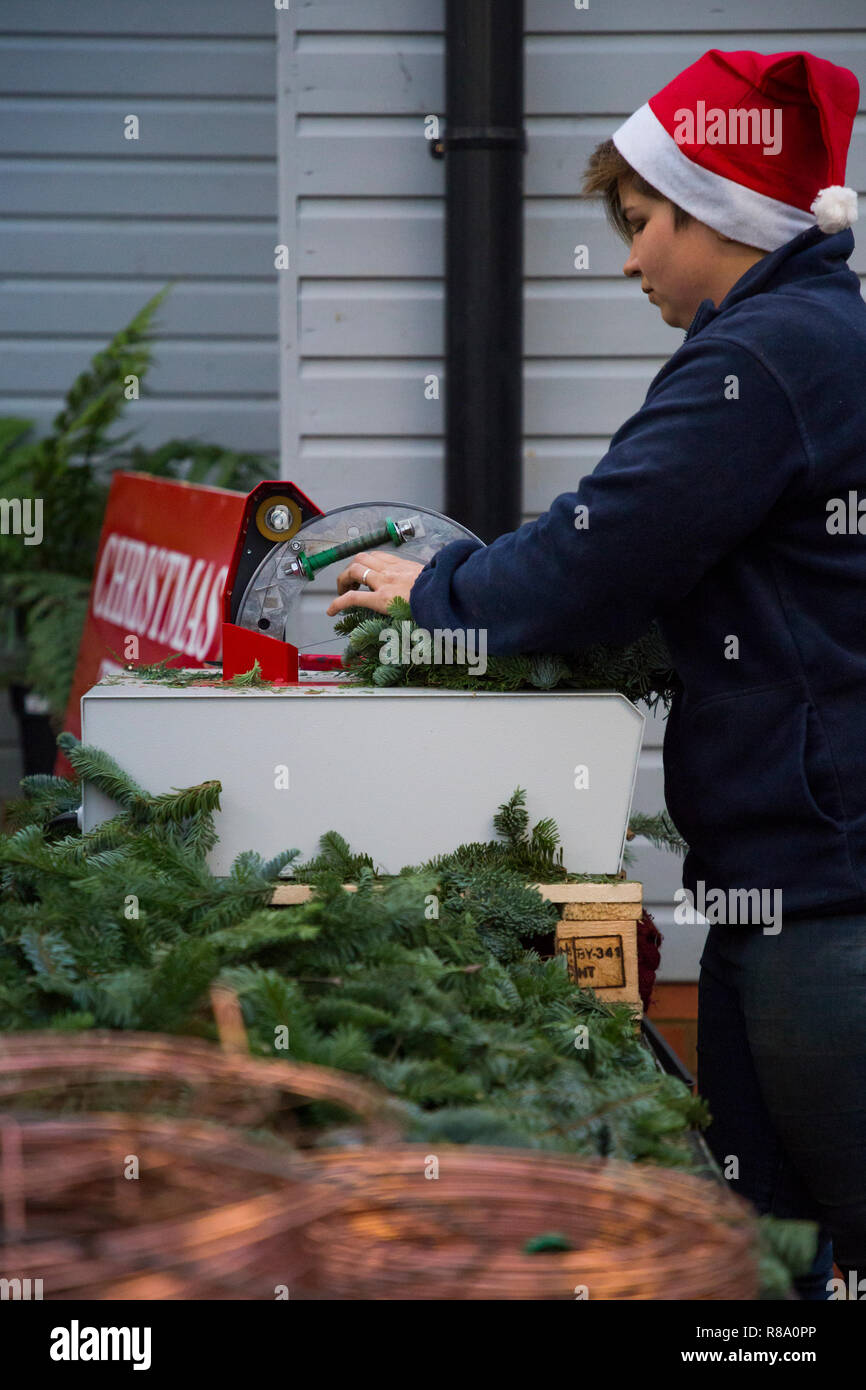 A young Woman using a wreath making machine to make Christmas wreaths ...