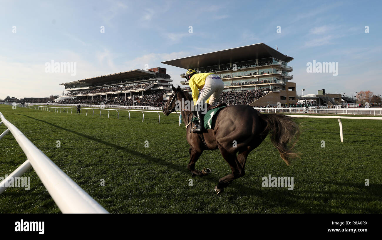 Elixir de nutz horse hi-res stock photography and images - Alamy