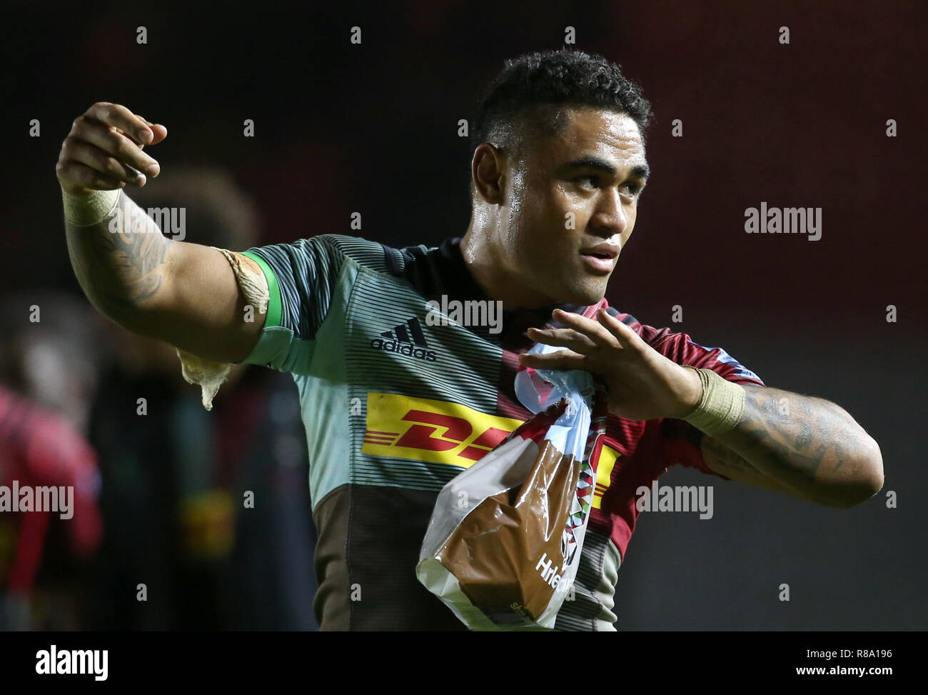 Harlequins francis saili hi-res stock photography and images - Alamy