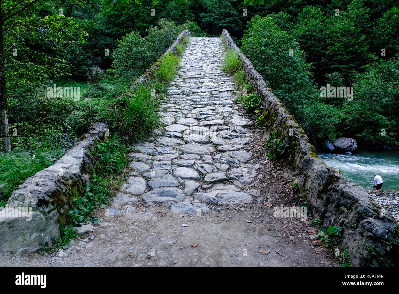 Old stone arch bridge Stock Photo - Alamy