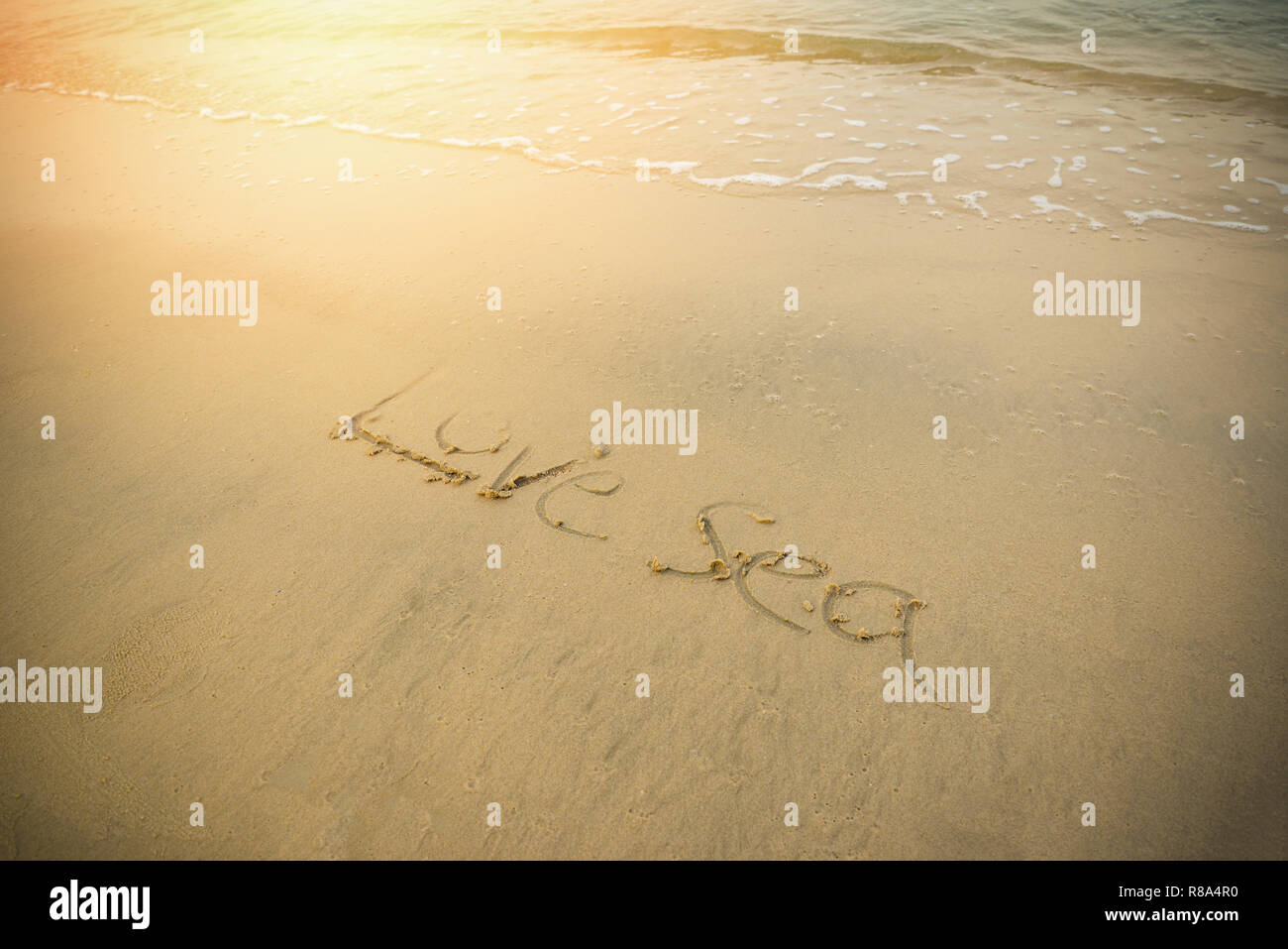 the beach sea texture background / text on sand beach written words ...