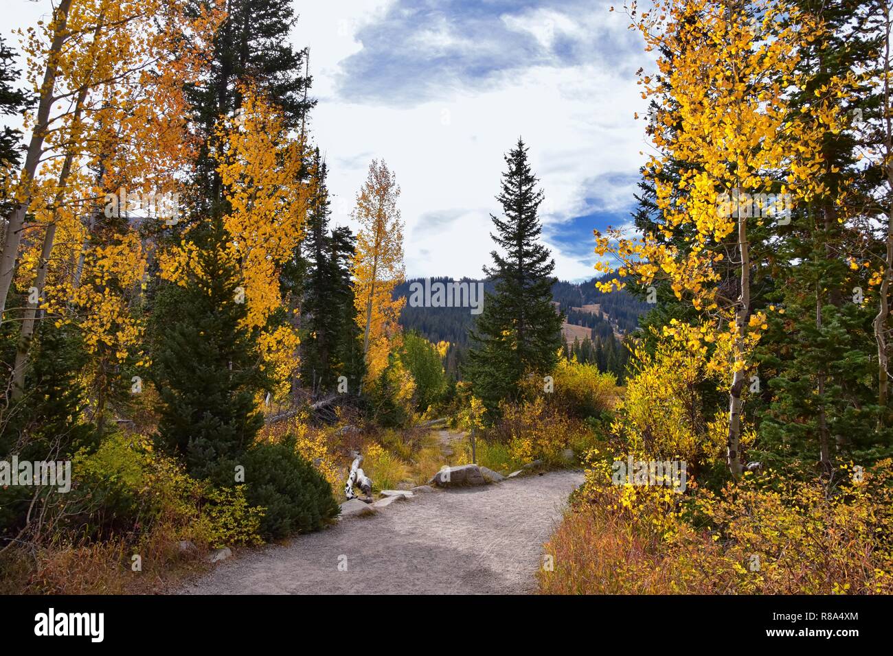 Silver Lake by Solitude and Brighton Ski resort in Big Cottonwood ...