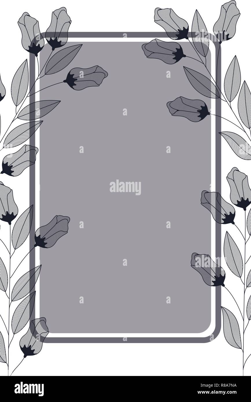 flowers with leaves and rectangle isolated icon Stock Vector Image ...