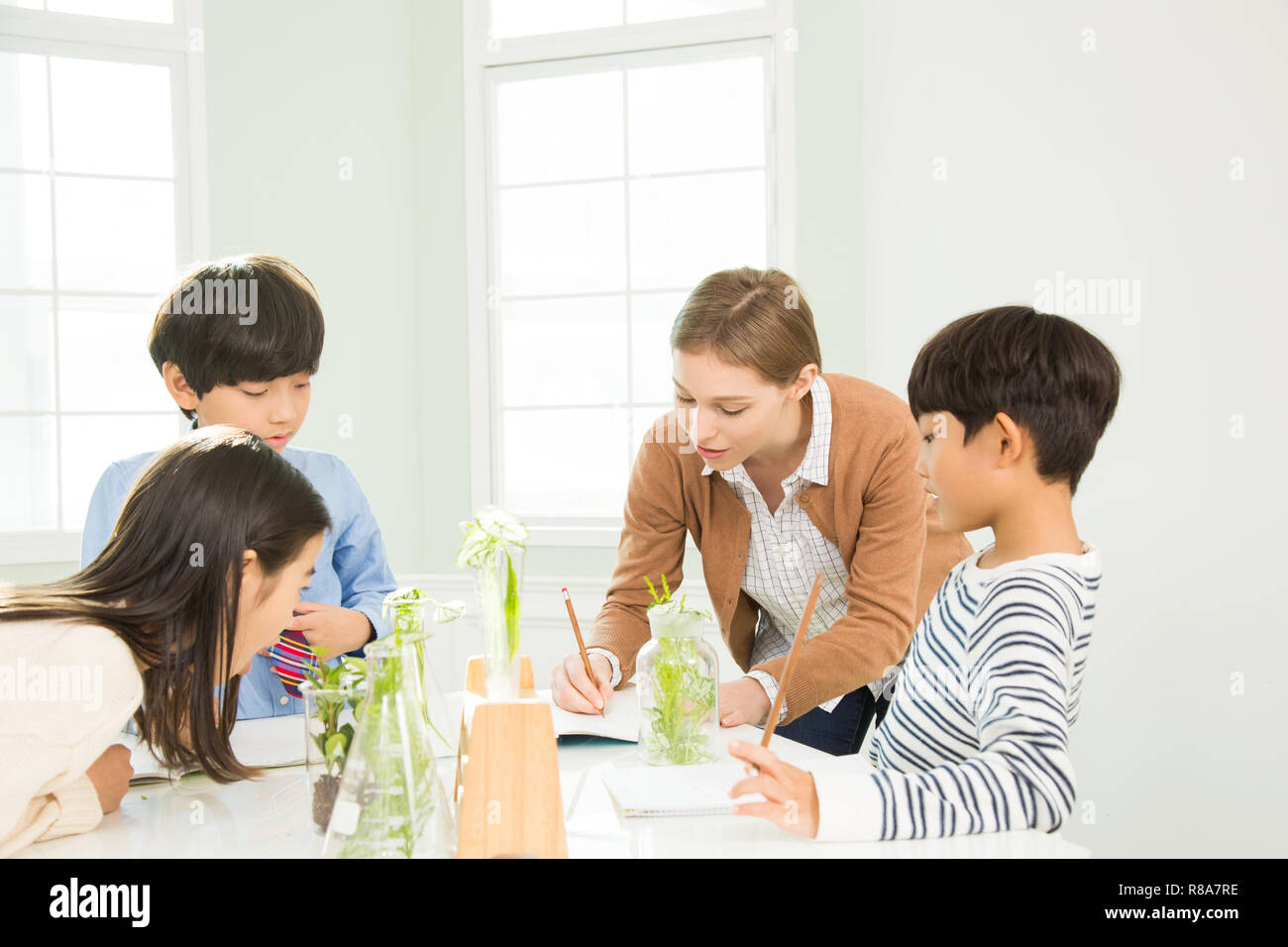Biology students plant classroom hi-res stock photography and images ...