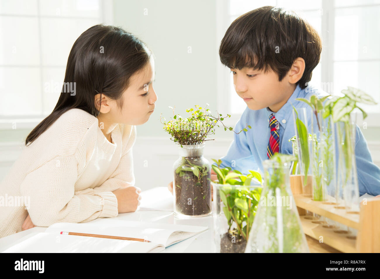 Students experiment plant hi-res stock photography and images - Alamy