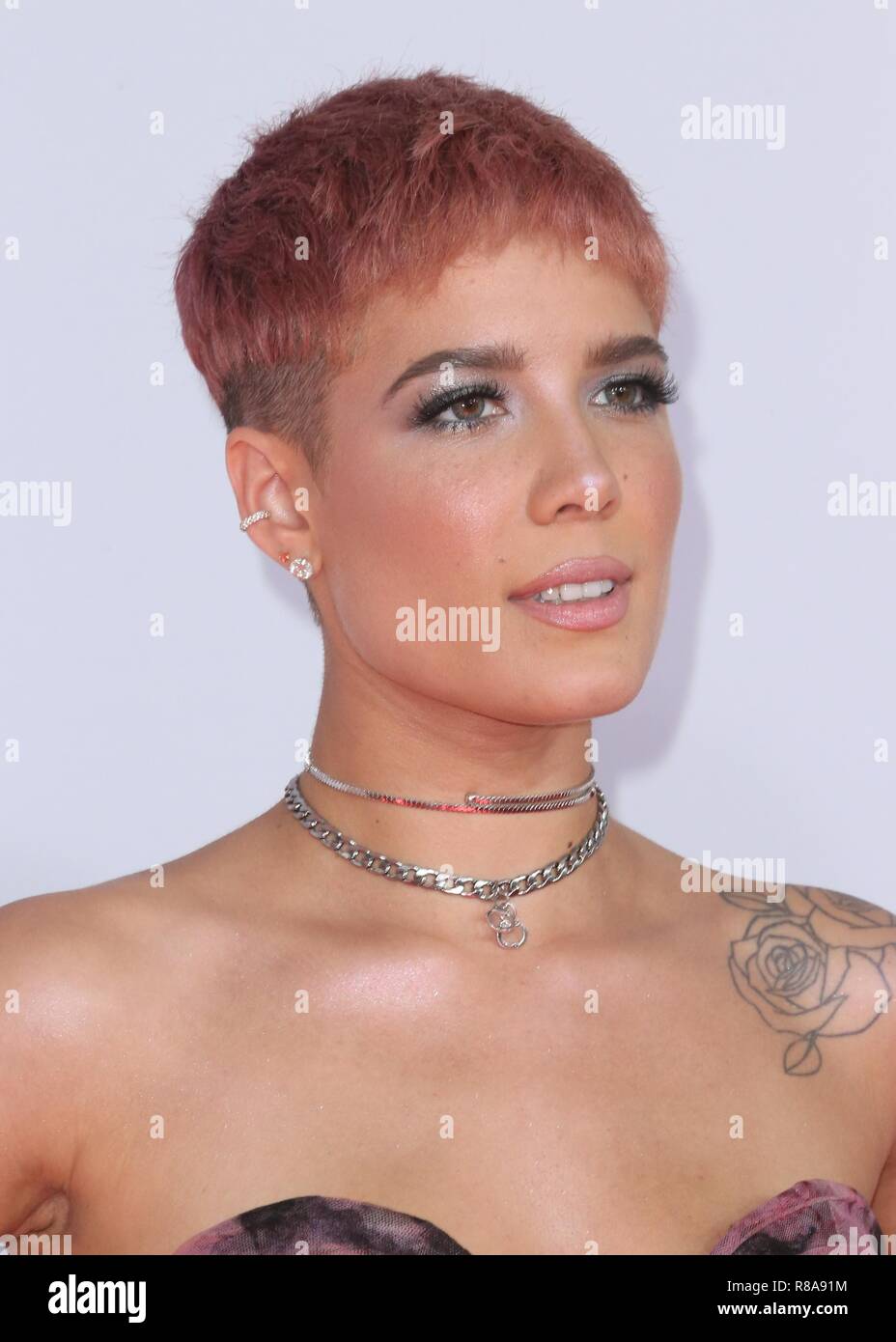 LOS ANGELES, CA, USA - OCTOBER 09: Singer Halsey aka Ashley Nicolette ...