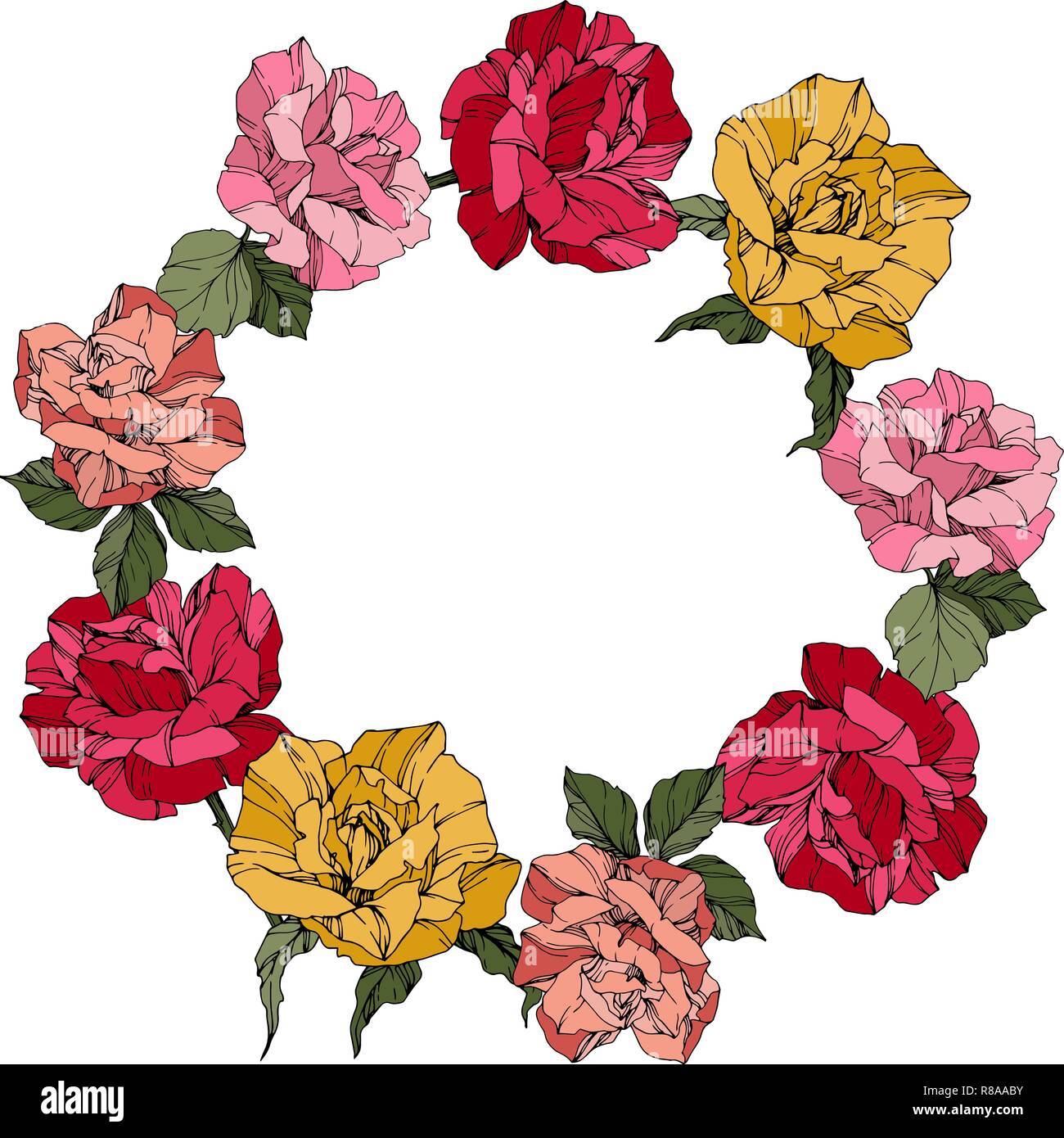Vector Rose. Floral botanical flower. Wild spring leaf. Red, pink and ...