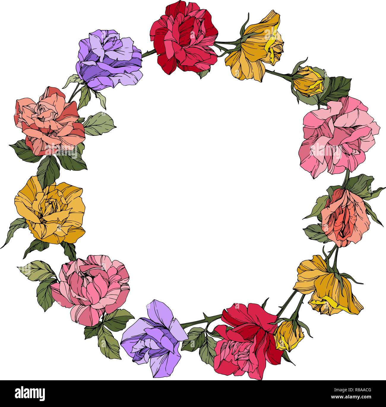 Vector Rose. Floral botanical flower. Wild spring leaf. Red, pink and ...