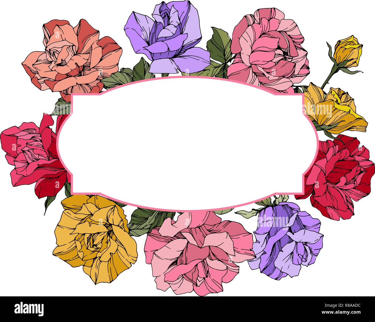 Vector Rose. Floral botanical flower. Wild spring leaf. Red, pink and ...