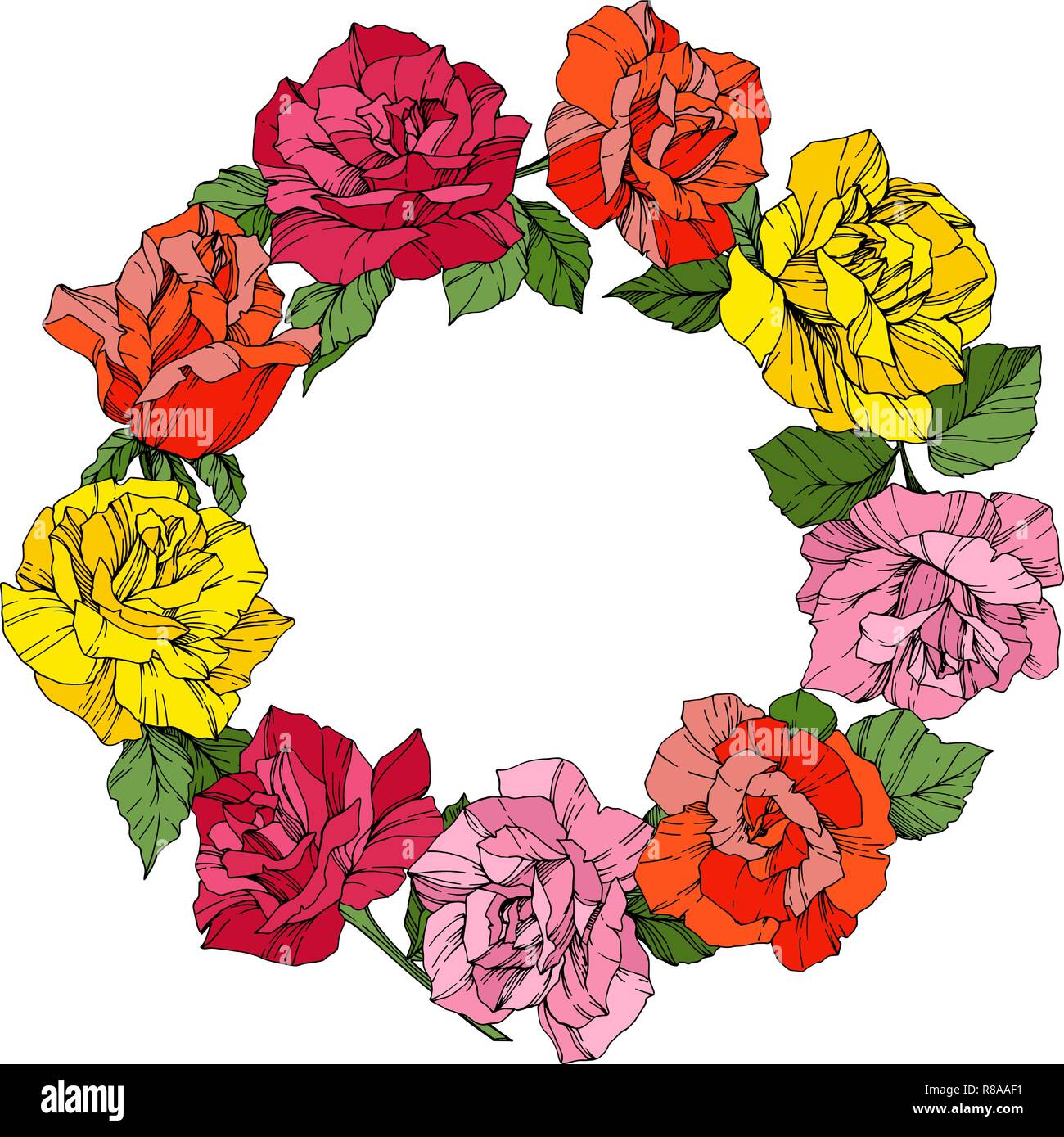 Vector Rose. Floral botanical flower. Wild spring leaf. Red, pink and ...