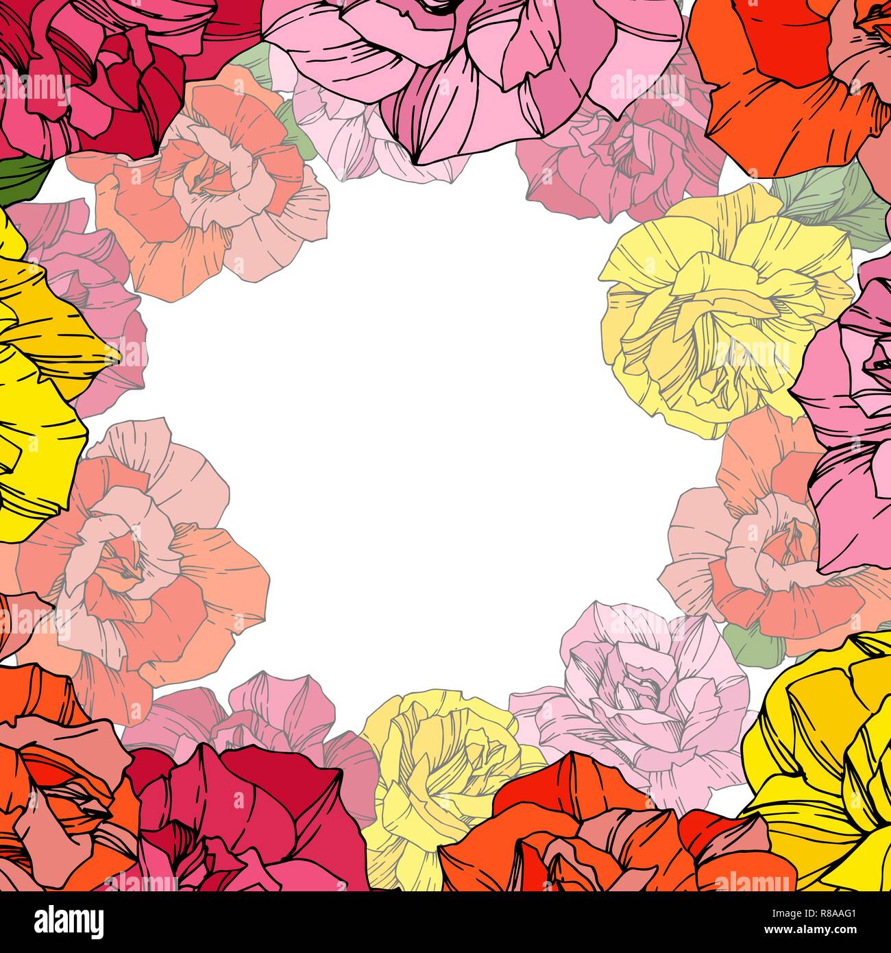 Vector Rose. Floral botanical flower. Wild spring leaf. Red, pink and ...