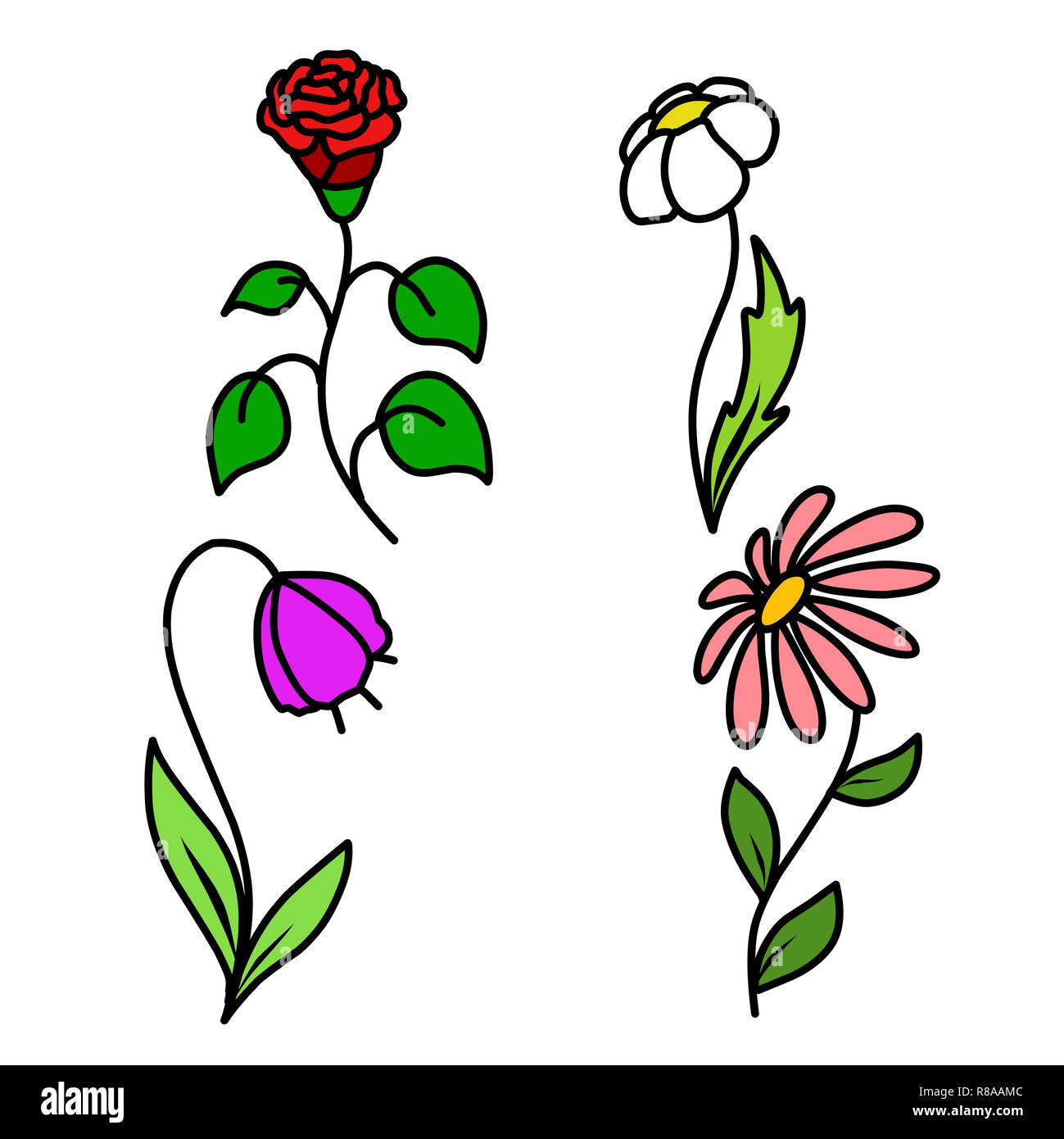 Stock Illustration Set of four flowers on a White Background Stock ...
