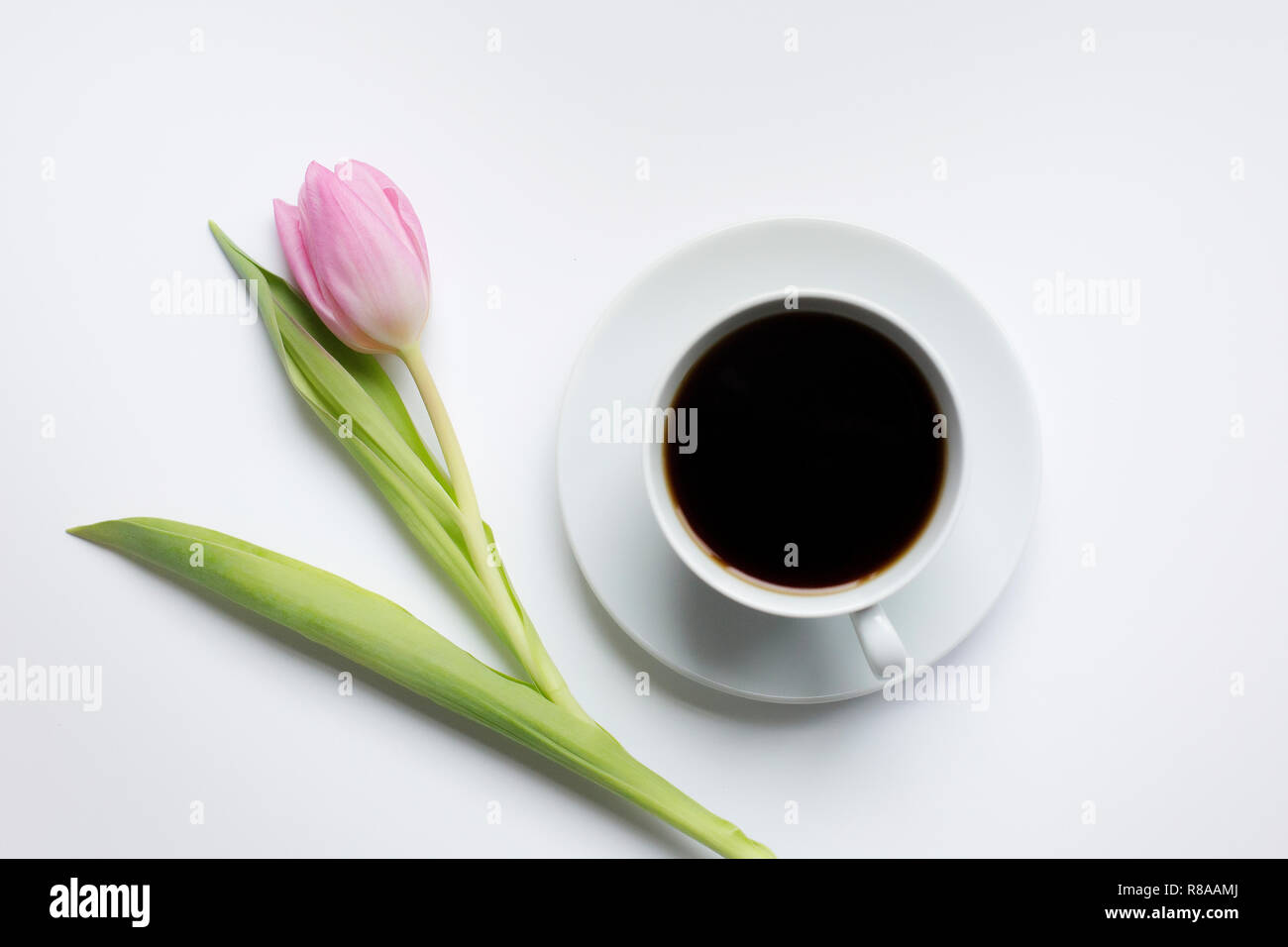 Good morning tulips hi-res stock photography and images - Alamy