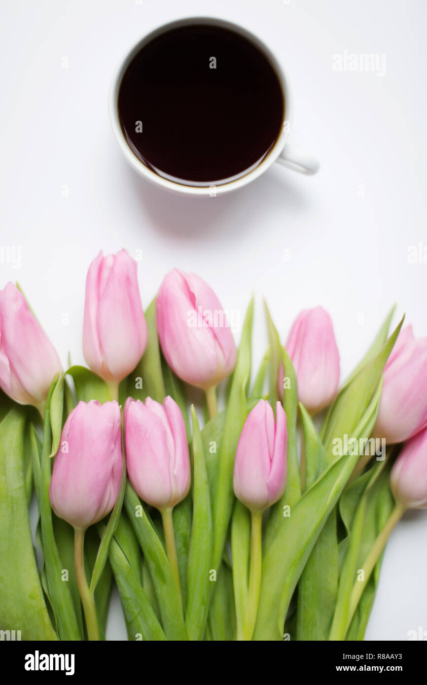 Good morning tulips hi-res stock photography and images - Alamy
