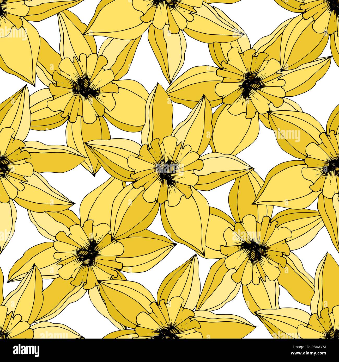 Vector Narcissus. Floral botanical flower. Yellow engraved ink art ...