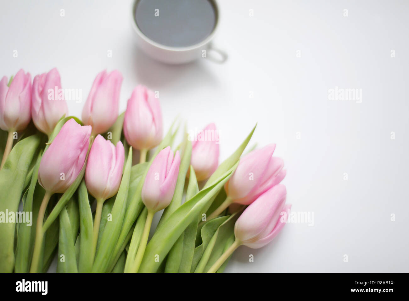 Good morning tulips hi-res stock photography and images - Alamy