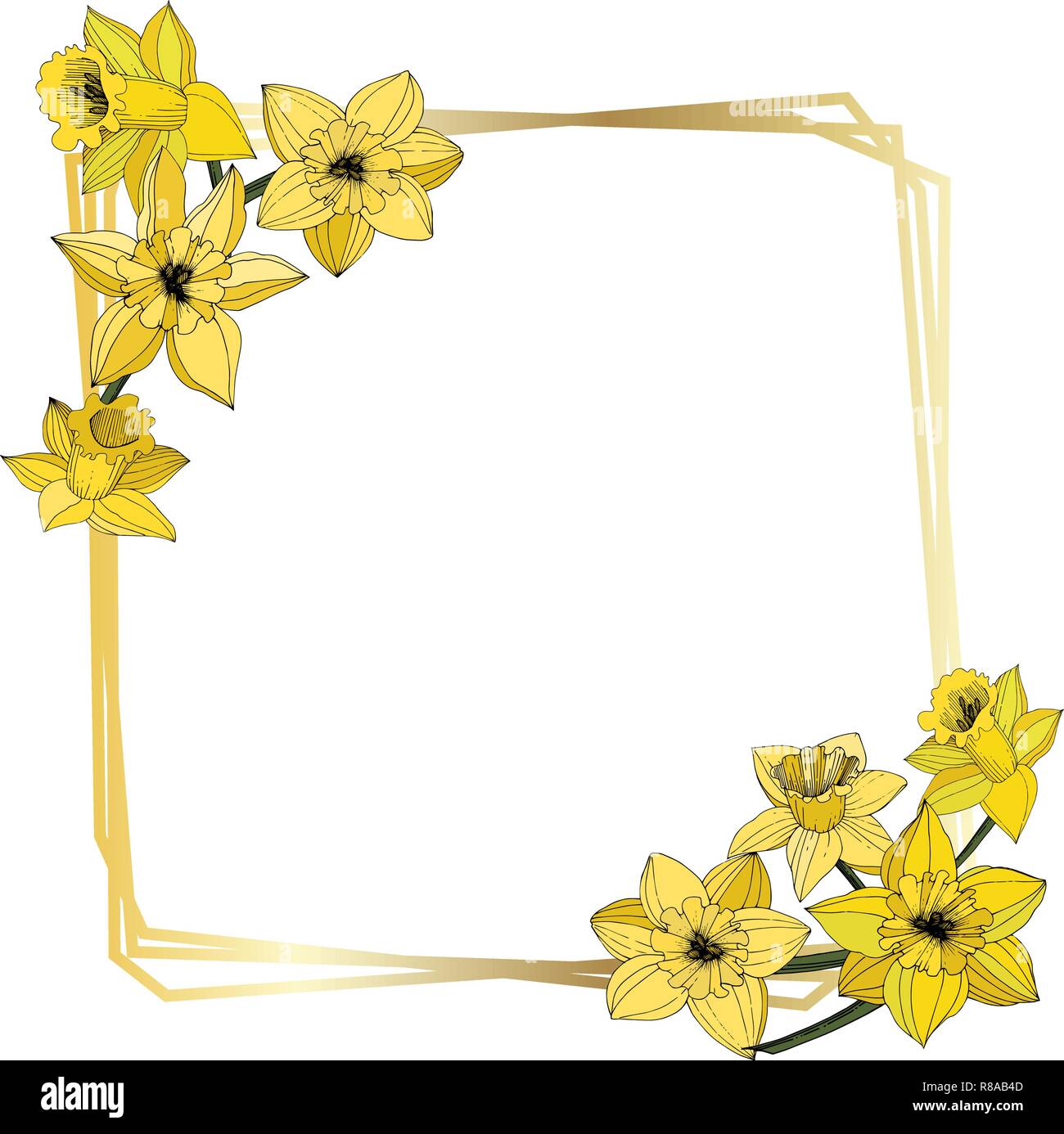 Daffodil Border Clip Art