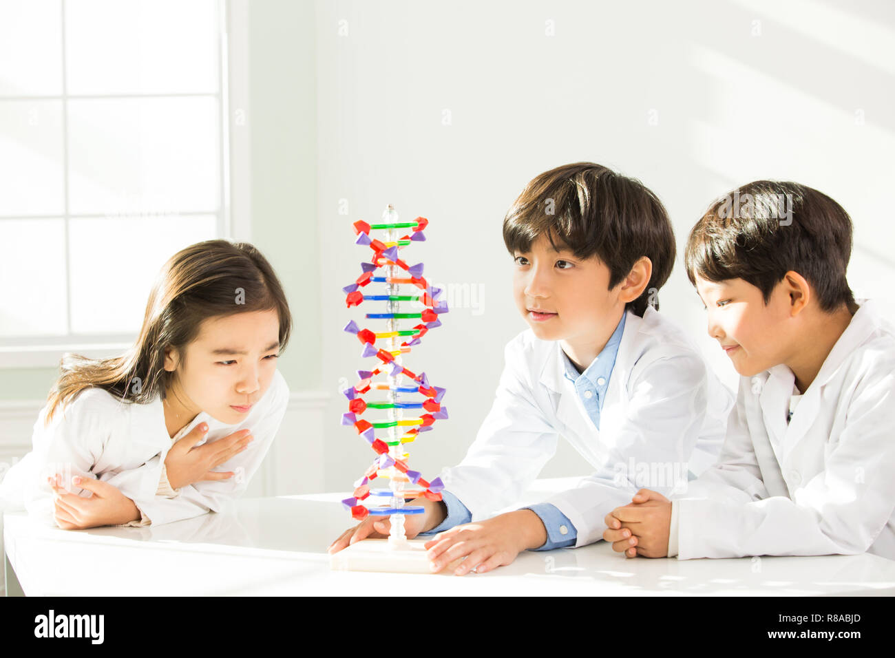 Young Students Learning About DNA Stock Photo - Alamy