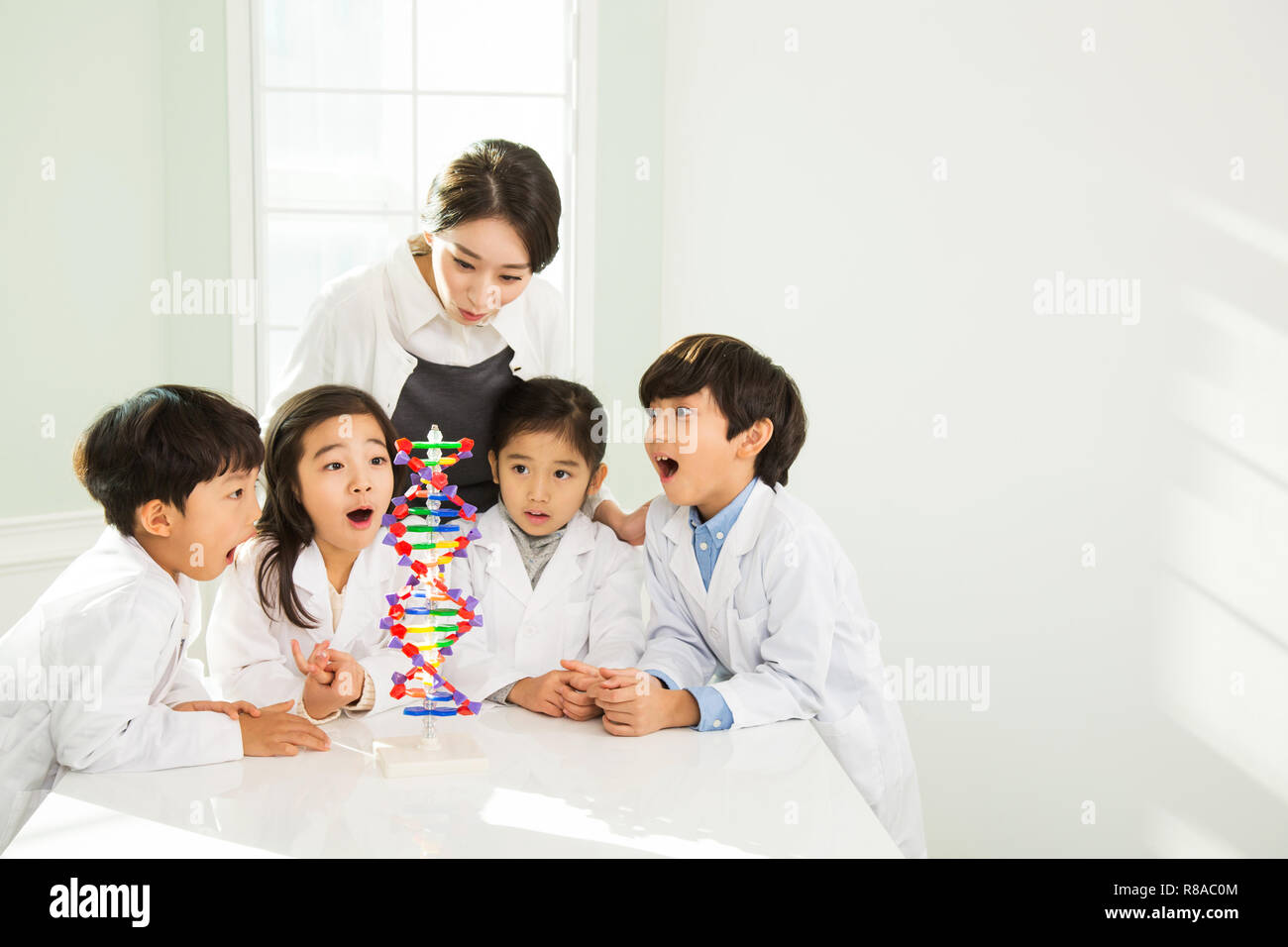 Young Students Learning About DNA With A Female Teacher Stock Photo - Alamy