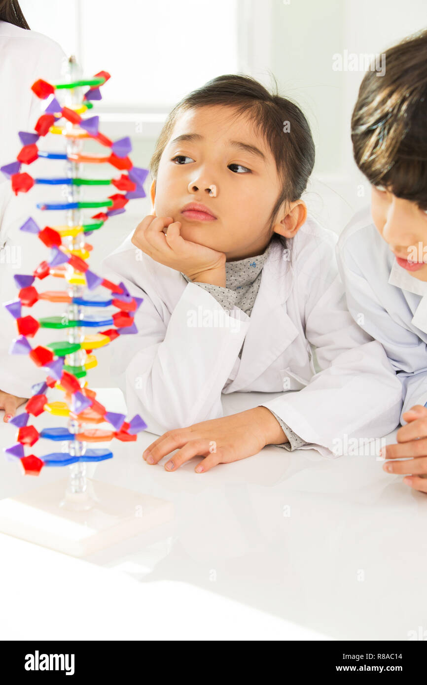 Students with dna model hi-res stock photography and images - Alamy