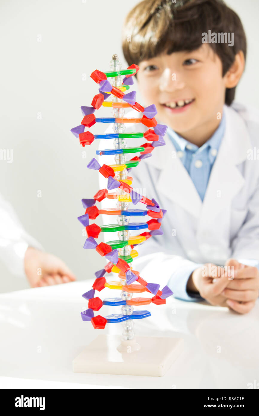 Young Student With A DNA Model Stock Photo - Alamy