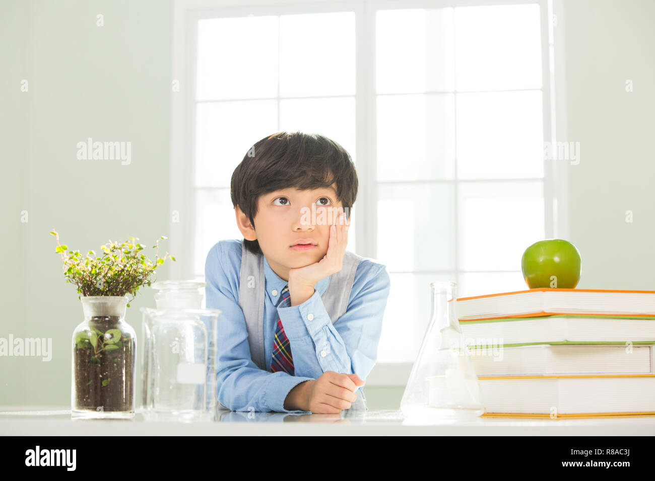 Elementary school biology class hi-res stock photography and images - Alamy