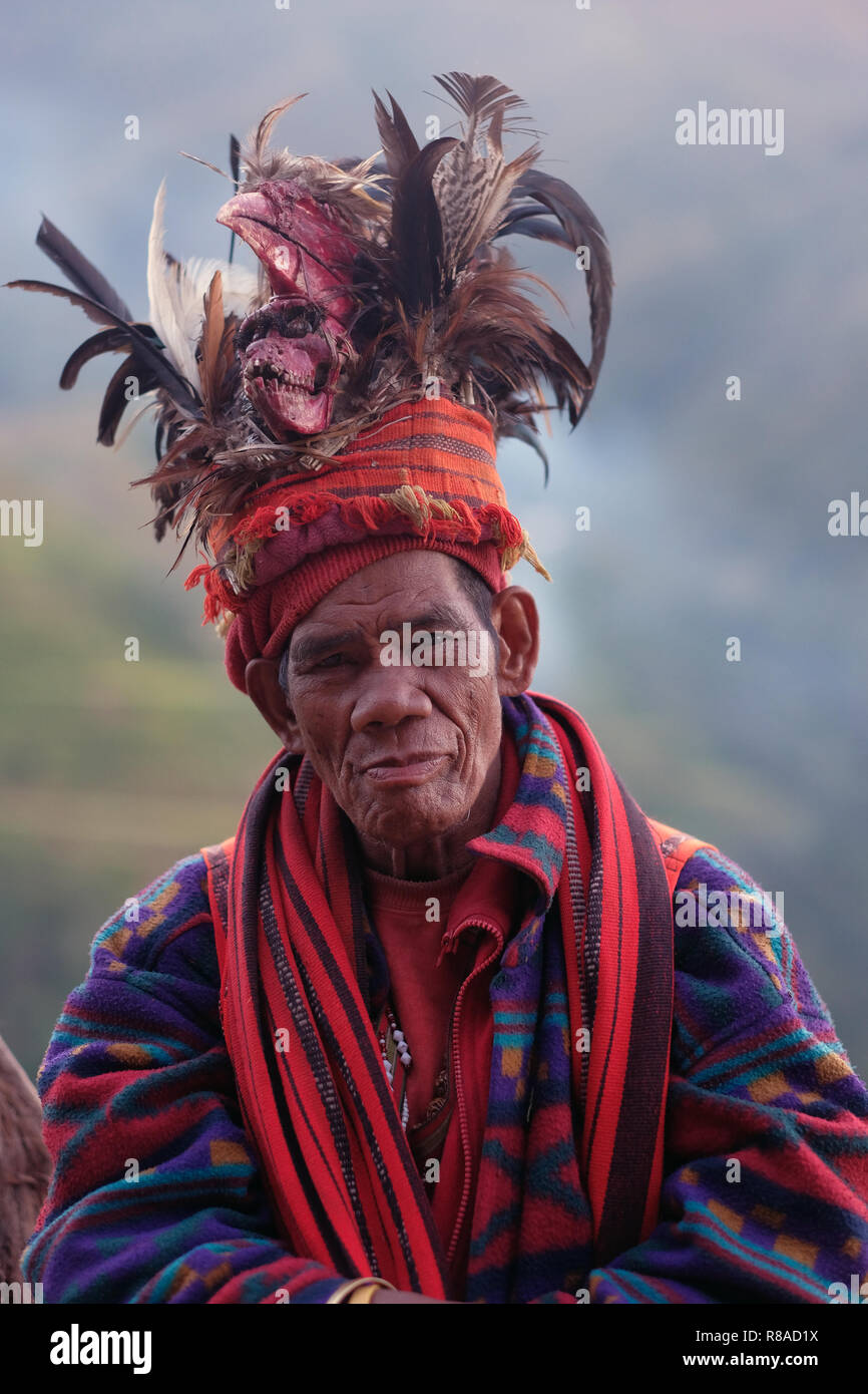 An elderly Ifugao man wearing headdress adorned with feathers and ...