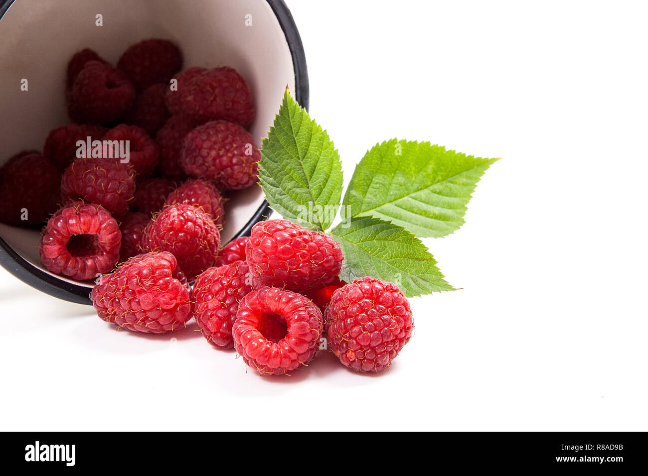 Close up view of white cup with fresh raspberries fruits and big green ...