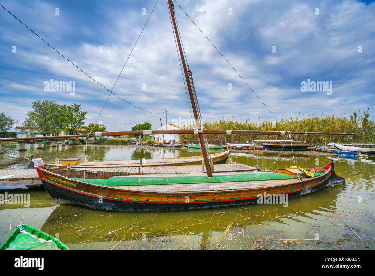 La albufera park hi-res stock photography and images - Alamy