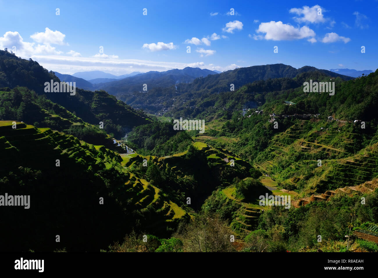 The Banaue Rice Terraces carved into the mountains of Ifugao located ...