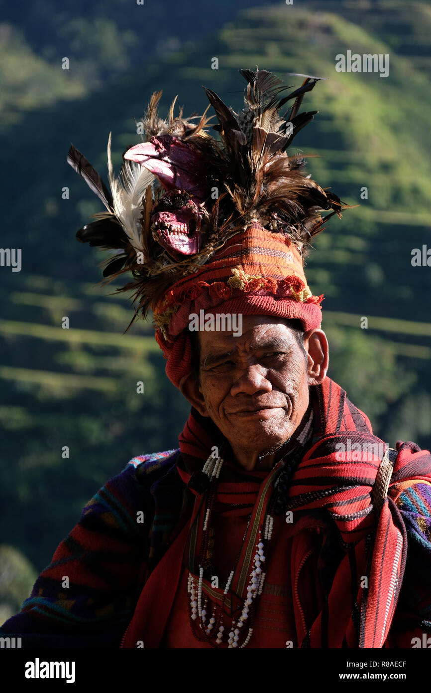 An elderly Ifugao man wearing headdress adorned with feathers and ...