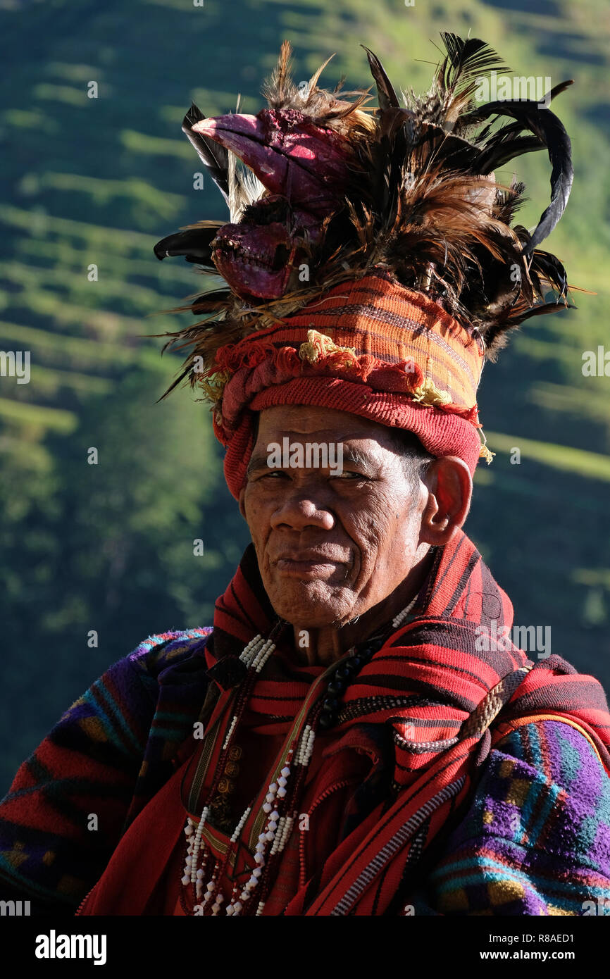An elderly Ifugao man wearing headdress adorned with feathers and ...