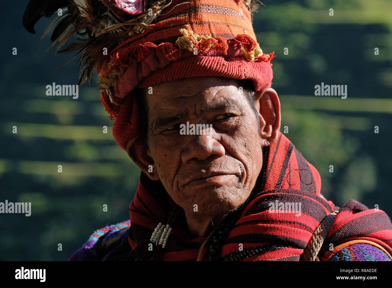 Monkey wearing clothing hi-res stock photography and images - Alamy