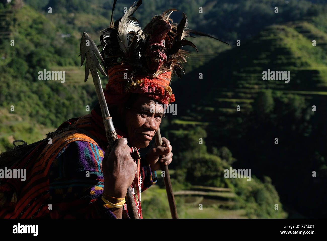 An elderly Ifugao man wearing headdress adorned with feathers and ...