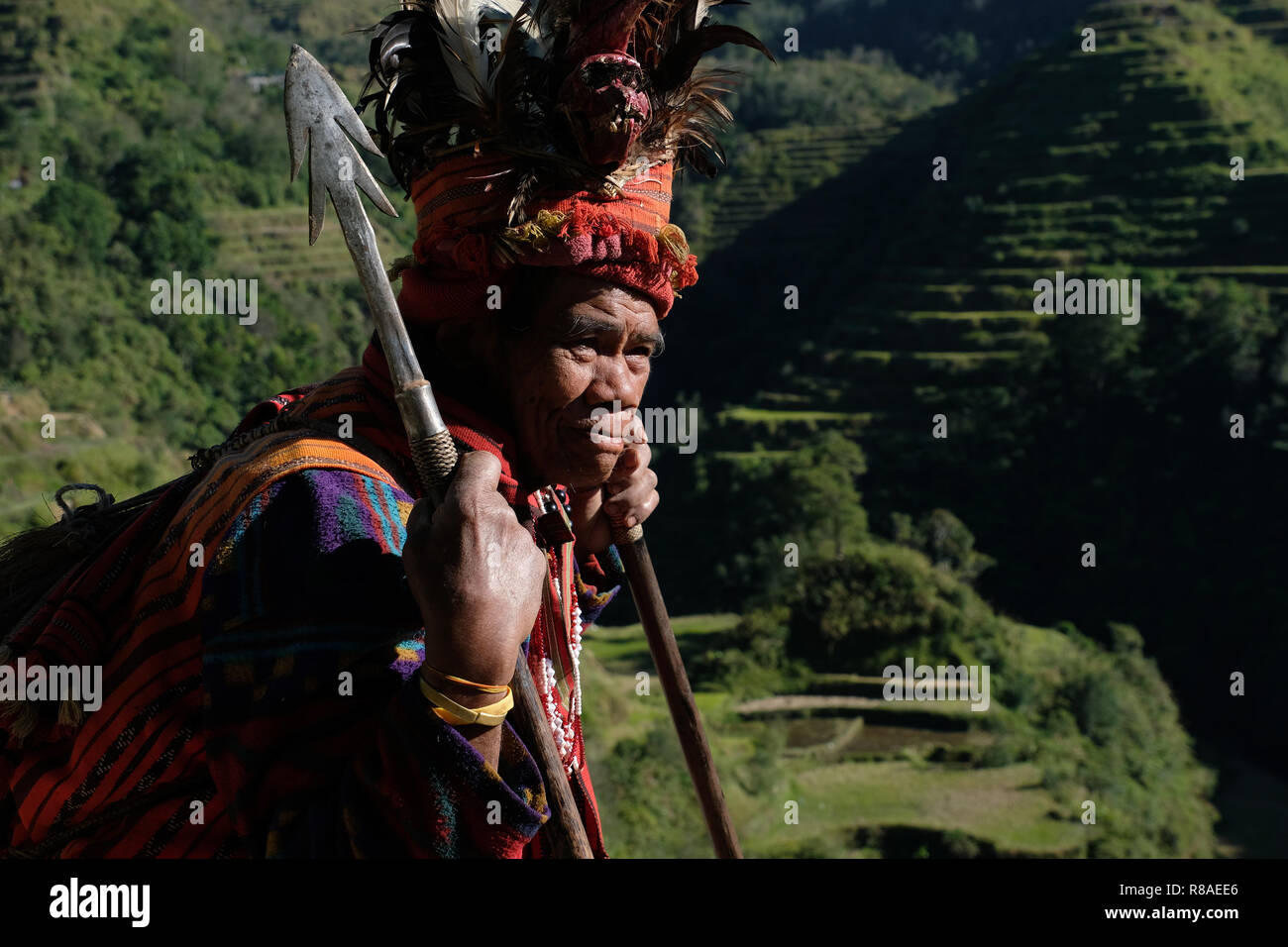 An elderly Ifugao man wearing headdress adorned with feathers and ...