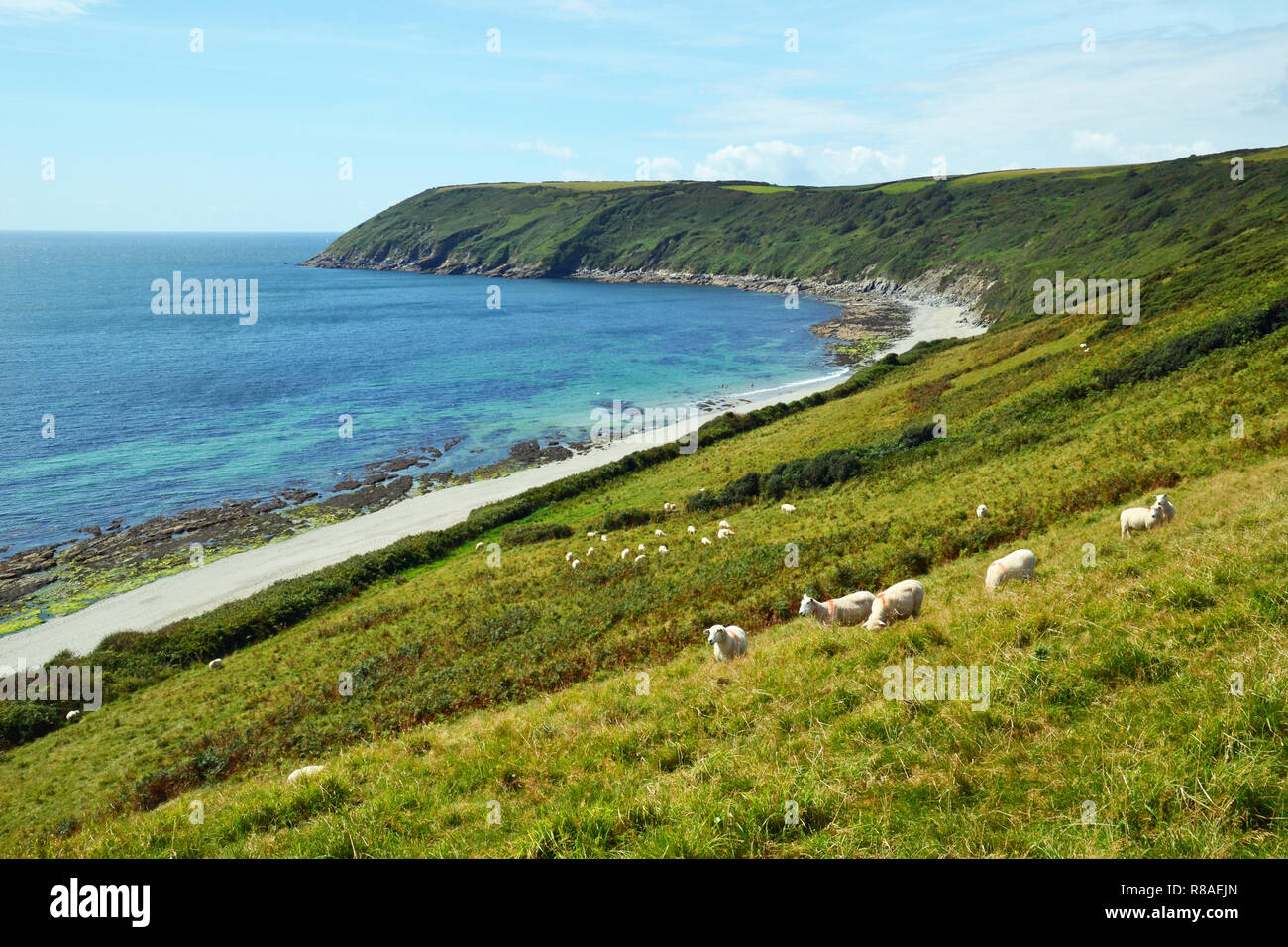 Path down to Gorren Haven Vault Beach, with beach views, Mevagissey ...